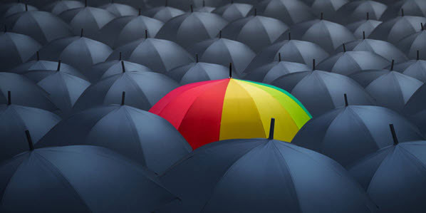 Learn How Employers Can Support Transgender Rights in the Workplace ...